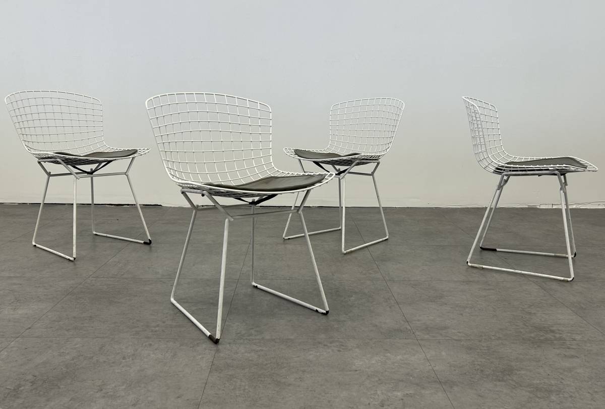 Knoll Bertoia Chairs – Split Level Modern